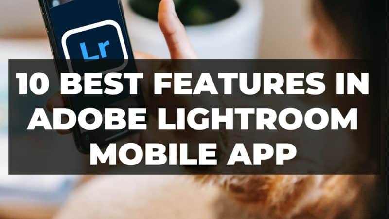 10 Best Features In Adobe Lightroom Mobile App - SKFREELANCERS